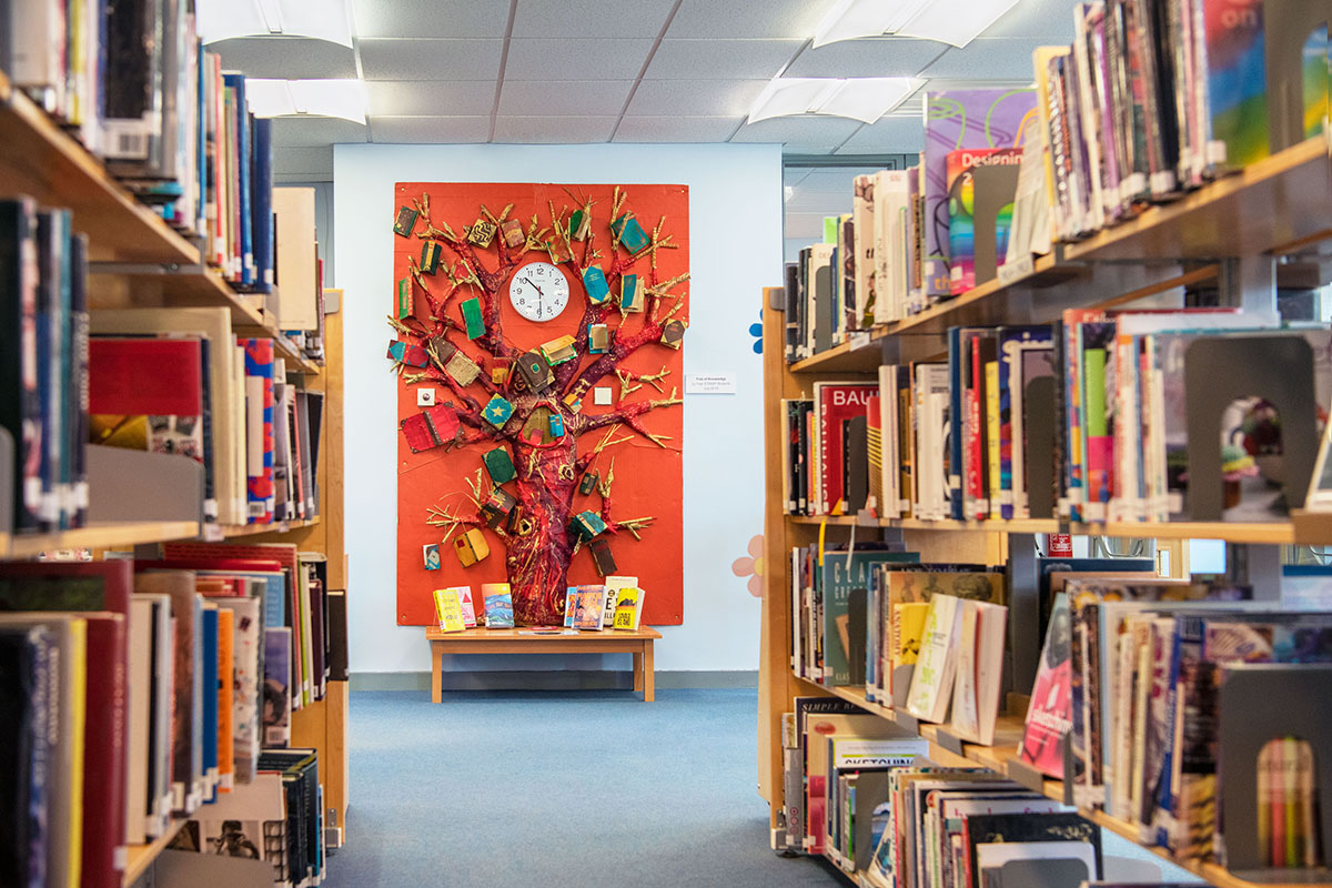 Extending your library beyond books - SchoolNews - New Zealand