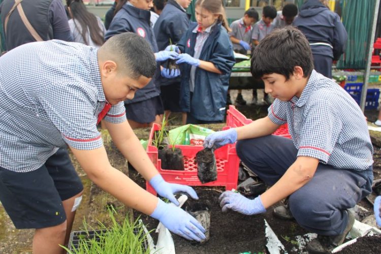 Pakuranga Intermediate: A school like any other - SchoolNews - New Zealand